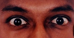 Telinga Keling (1999) – The Koboi Project